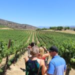 The Temecula Wine Tour from Anaheim - What Do Guests Say? Authentic Insights