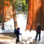 The Ultimate Yosemite and Lake Tahoe 5-Day Bucket List Experience - Final Thoughts