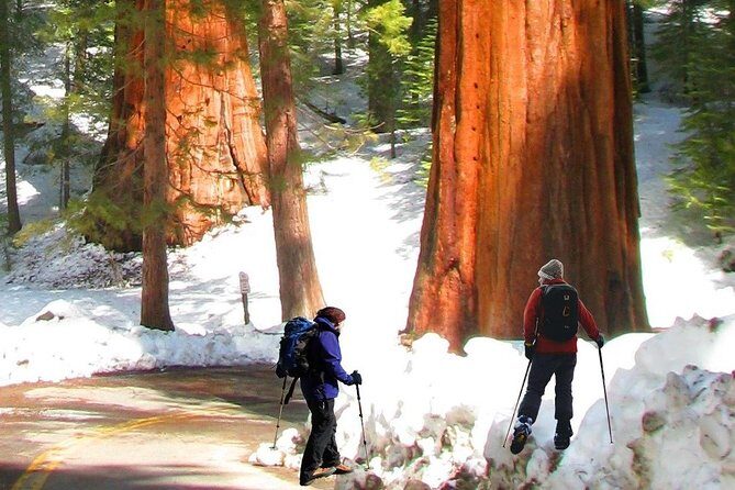 The Ultimate Yosemite and Lake Tahoe 5-Day Bucket List Experience - Final Thoughts