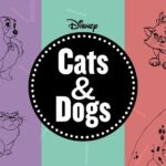 The Walt Disney Family Museum Admission Ticket in San Francisco - The Sum Up: A Worthwhile Visit for Curious Minds and Disney Buffs