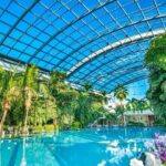 Therme Bucharest: Entry Ticket and Round-Trip Transfer - A Close Look at the Itinerary