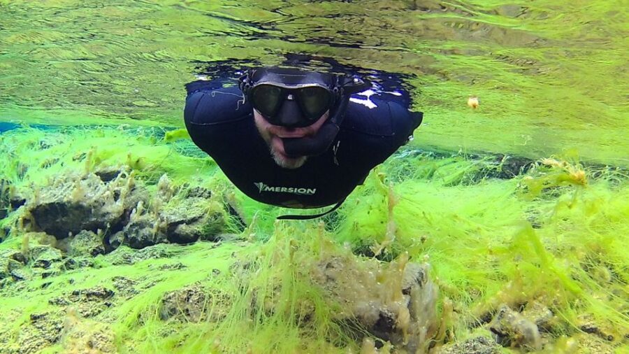Thingvellir: Silfra Freedive Adevnture with a Guide - The Itinerary: What to Expect