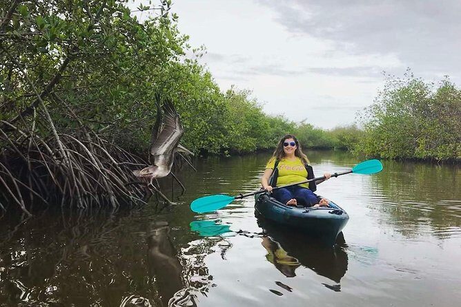 Thousand Island Mangrove Tunnel, Manatee & Dolphin Kayak Tour w/Cocoa Kayaking - Guides and Personal Touches