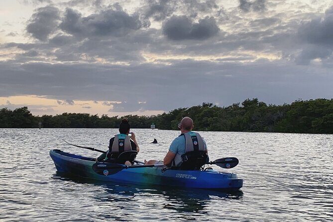 Thousand Islands Mangrove Tunnel & Bio Comb Jelly Sunset Tour - Sunset & the Bioluminescent Glow: A Truly Unique Experience