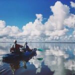 Thousand Islands Mangrove Tunnel Kayak Tour with Cocoa Kayaking! - What Makes This Kayaking Tour Stand Out