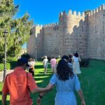 Three Cities in one Day: Toledo, Segovia and Avila from Madrid - Who Should Book This Tour?