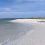 Three Hour Shelling Cruise to Shell Key Preserve from John's Pass - What We Like