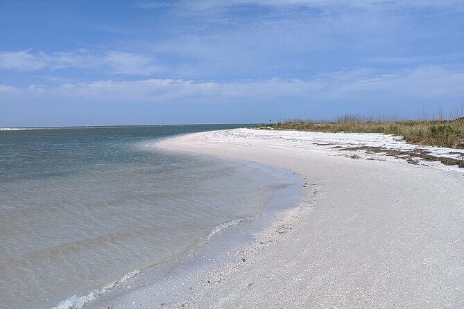 Three Hour Shelling Cruise to Shell Key Preserve from John's Pass - What We Like