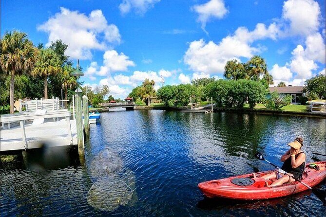 Three Sisters Springs Kayak And Swim Eco-Tour Crystal River - The Itinerary in Detail