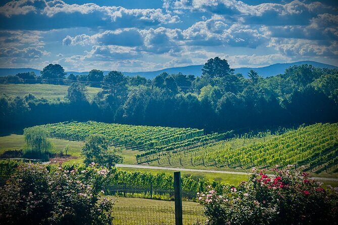 Three Vineyards Half Day Private Wine Tour From Asheville - Who Should Consider This Tour?
