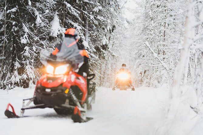 Thrill of Snowmobiling for Adults Only - What Travelers Say: Authentic Perspectives