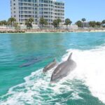 Thriller Speedboat Dolphin Tours in Destin Florida - The Itinerary in Detail