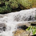 Thundering Streams and Falls of the Smokies Guided Hiking Tour - What Travelers Say