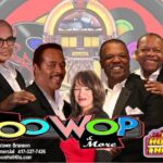 Ticket for Doo Wop & More in the Branson Hot Hits Theatre - Who Should Consider This Show?