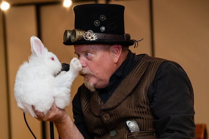 Ticket for Magic Show Theater in Houston - The Highlights of the Houston Magic Show