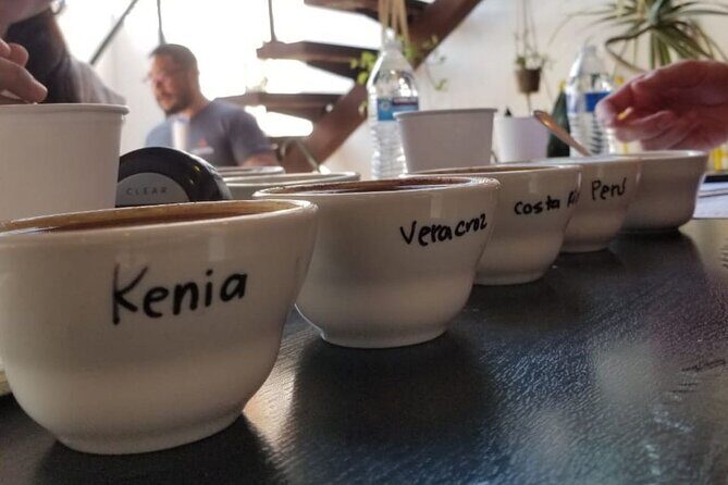 Tijuana Mexico Coffee Shop Hop from San Diego - A Closer Look at the Tijuana Coffee Shop Hop Experience