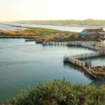 Tirana & Durres :Karavasta Lagoon & Apolonia with Breakfast - Value and Practical Considerations