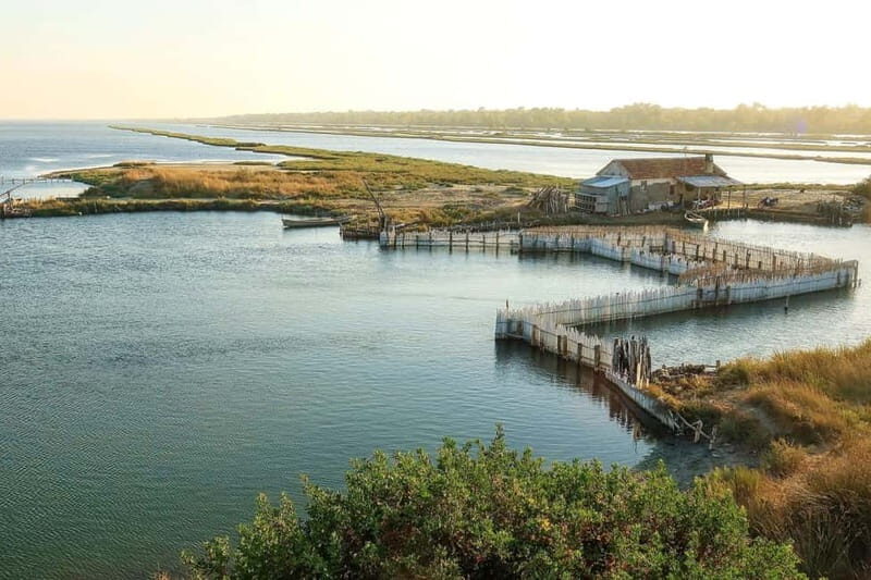 Tirana & Durres :Karavasta Lagoon & Apolonia with Breakfast - Value and Practical Considerations