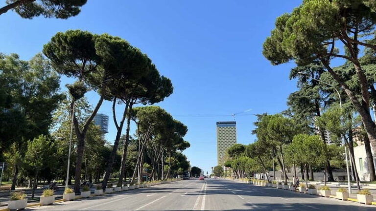 Tirana: Express Walking Tour with a Guide - Who Will Love This Tour?