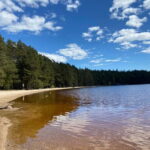 Tiveden National park: Summer guided walk around Stenkälla - Final Thoughts: Is This Tour for You?