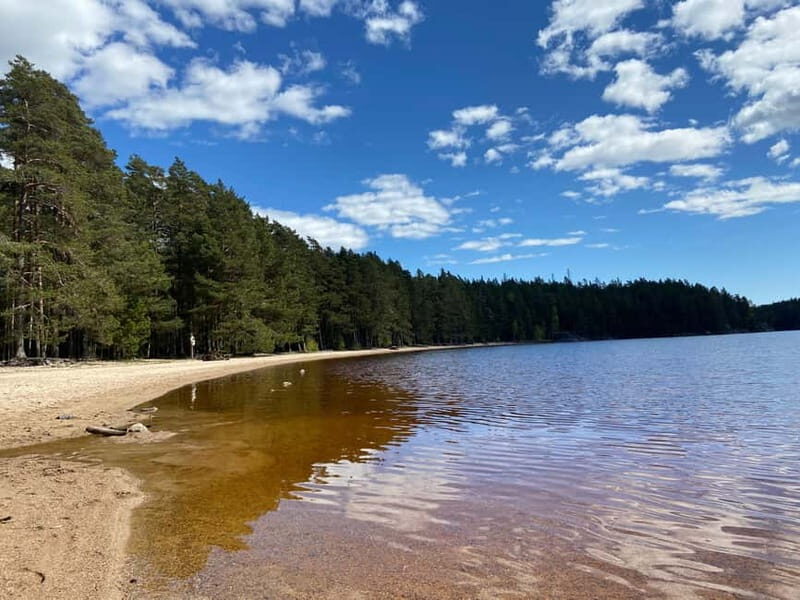 Tiveden National park: Summer guided walk around Stenkälla - Final Thoughts: Is This Tour for You?