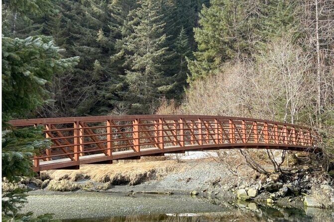 Tonsina Beach Hike with Seward Guided Hikes - A Complete Look at the Tonsina Beach Hike