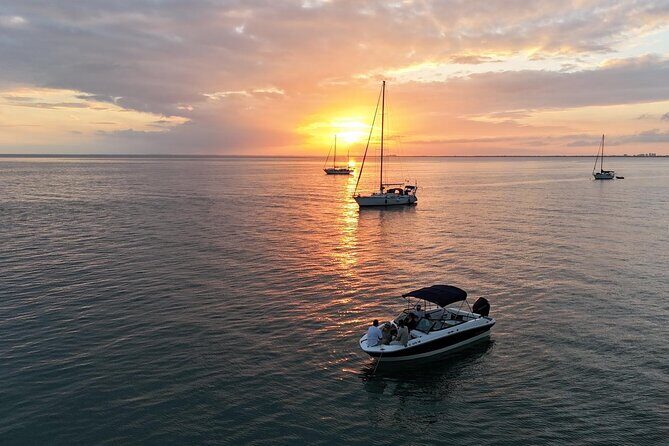 Top Rated: Best Private Boat Charter in Miami with guided captain - Who Should Book This Tour?