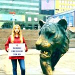 Tour a Pie en Oslo en Español - Final Thoughts: Is It Worth It?