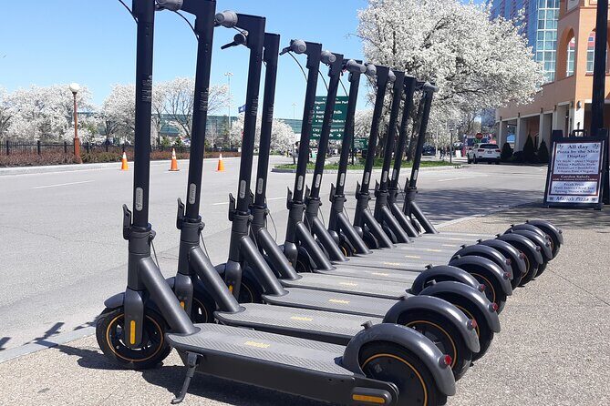 Tour All of Goat Island and State Park in 2 Hours on E-Scooter - The Experience: What to Expect from Your Niagara Scooter Tour