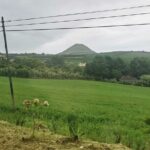 Tour in Sao Miguel with Snack - Who Will Love This Tour?