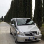 Tour of Chianti for small groups departing from Florence or surroundings - Castellina in Chianti: Historic Charm and Museums