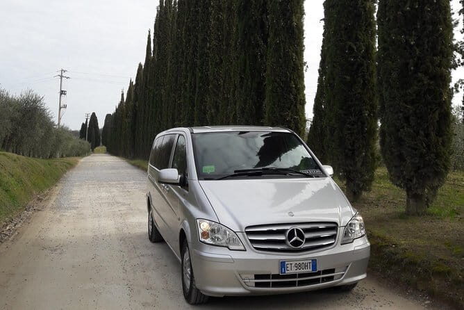Tour of Chianti for small groups departing from Florence or surroundings - Castellina in Chianti: Historic Charm and Museums