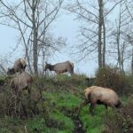 Tour of Warrenton - Why This Tour Offers Great Value