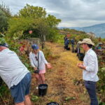 Tour Premium no Douro: Vinho, Cruzeiro e Comida Tradicional - Afternoon: River Cruise and Panoramic Views