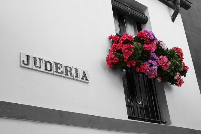 Tour Seville Complete and Jewish Quarter Santa Cruz - Practical Details and What You Can Expect