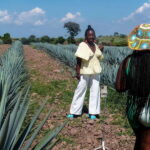 Tour Tequila Loreta Travel&Tour - Practical Details: What to Expect and What to Bring