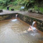 Tour to Furnas and Terra Nostra Garden - full day - FAQs