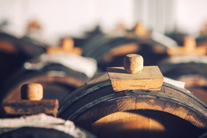 Tour with a tasting of the authentic Traditional Balsamic vinegar - Why This Tour Is Worth Your Time