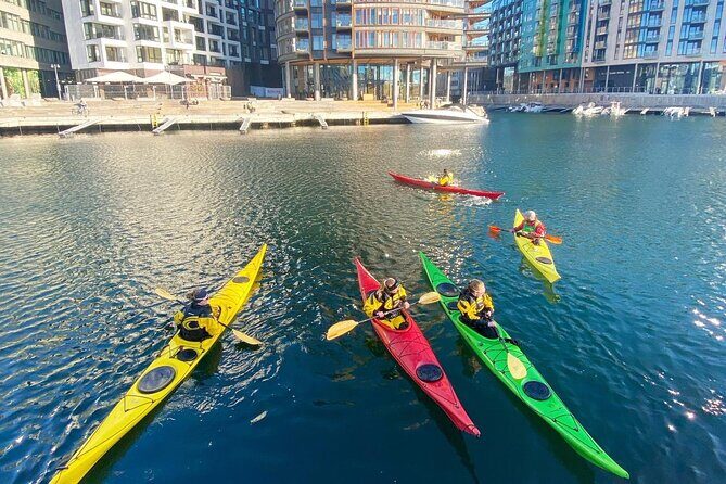 Tours_Oslo_Oslo Sea Kayak Tour_D902 140628P3 Review - Why a Sea Kayak Tour in Oslo Matters