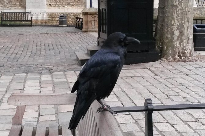 Tower of London Private Tour - Authentic Reviews & What People Say