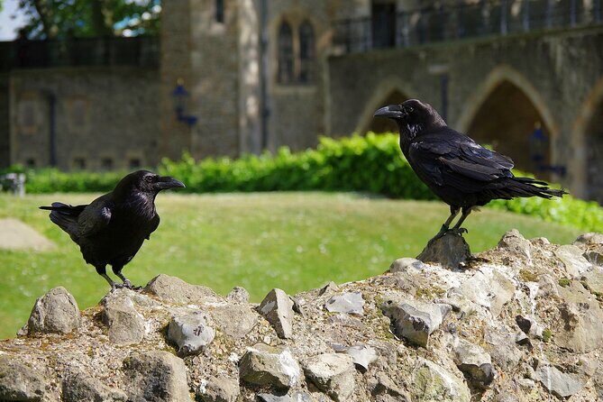Tower of London Private Walking Tour - Tower Overview and Its Turbulent Past