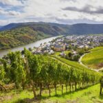 Traben-Trarbach / Bernkastel-Kues, Moselle: Wine experience hike - Practical Details and Value
