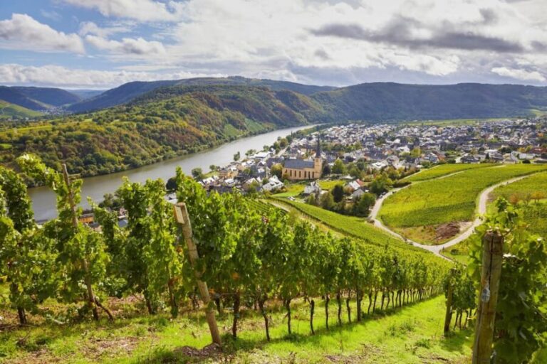 Traben-Trarbach / Bernkastel-Kues, Moselle: Wine experience hike - Practical Details and Value