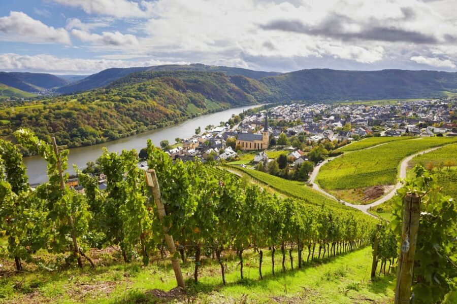 Traben-Trarbach / Bernkastel-Kues, Moselle: Wine experience hike - Practical Details and Value