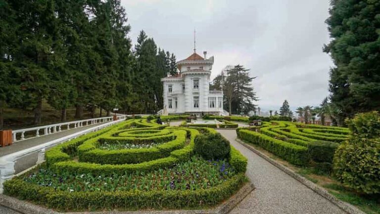 Trabzon: Atatürk Mansion, Ayasofya Mosque, Private Tour - Value and Practical Considerations