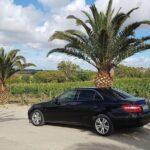 Transfer da aeroporto Palermo a Trapani porto - Why travelers love this service