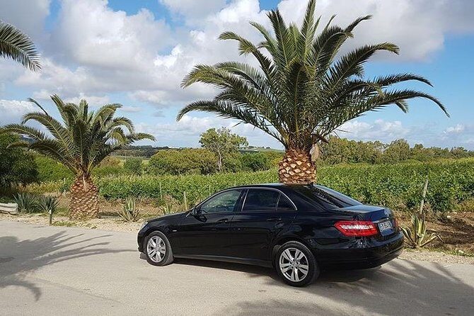 Transfer da aeroporto Palermo a Trapani porto - Why travelers love this service