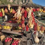 Transfer:Amalfi Coast-(via Matera 2h) Bari or reverse - Frequently Asked Questions (FAQs)