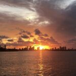 Transfers in Miami - Understanding the Service