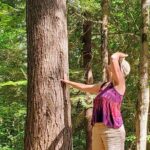 Transformative Forest Escape: A Mindful Journey for Inner Calm - The Itinerary: What to Expect
